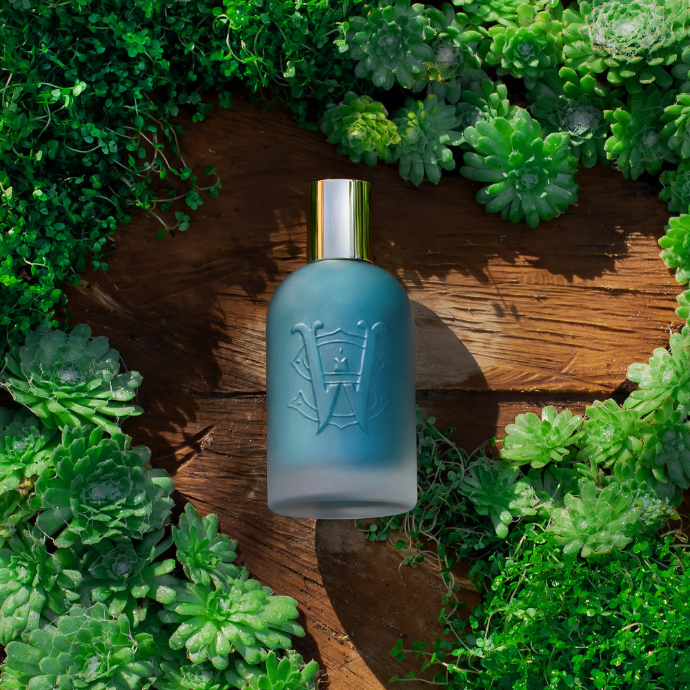 Collections | Saltworks