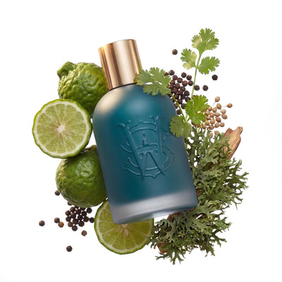 Shop OUR FRAGRANCES at Saltworks | Saltworks