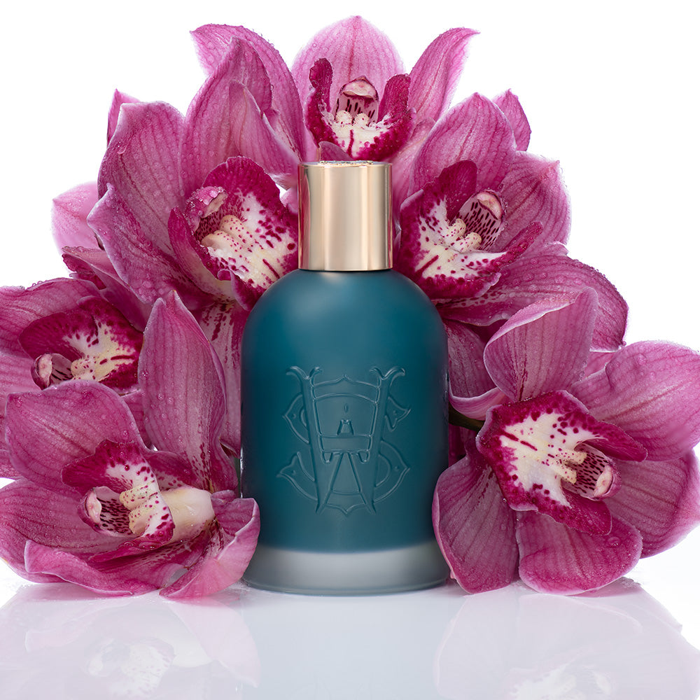 Midnight Orchid | Saltworks