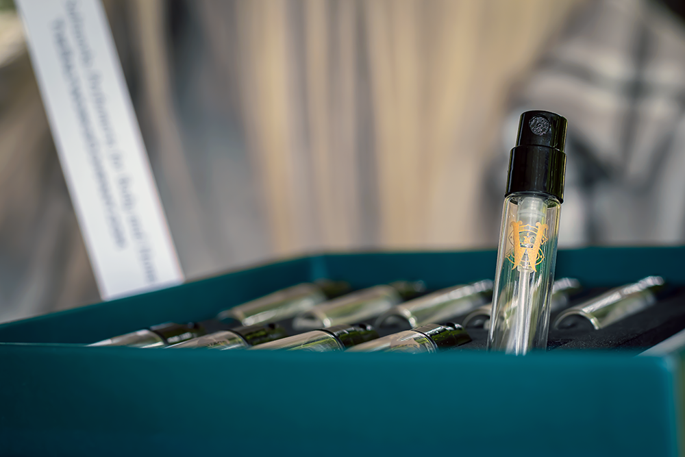 Shop All Discovery Sets at Saltworks | Saltworks