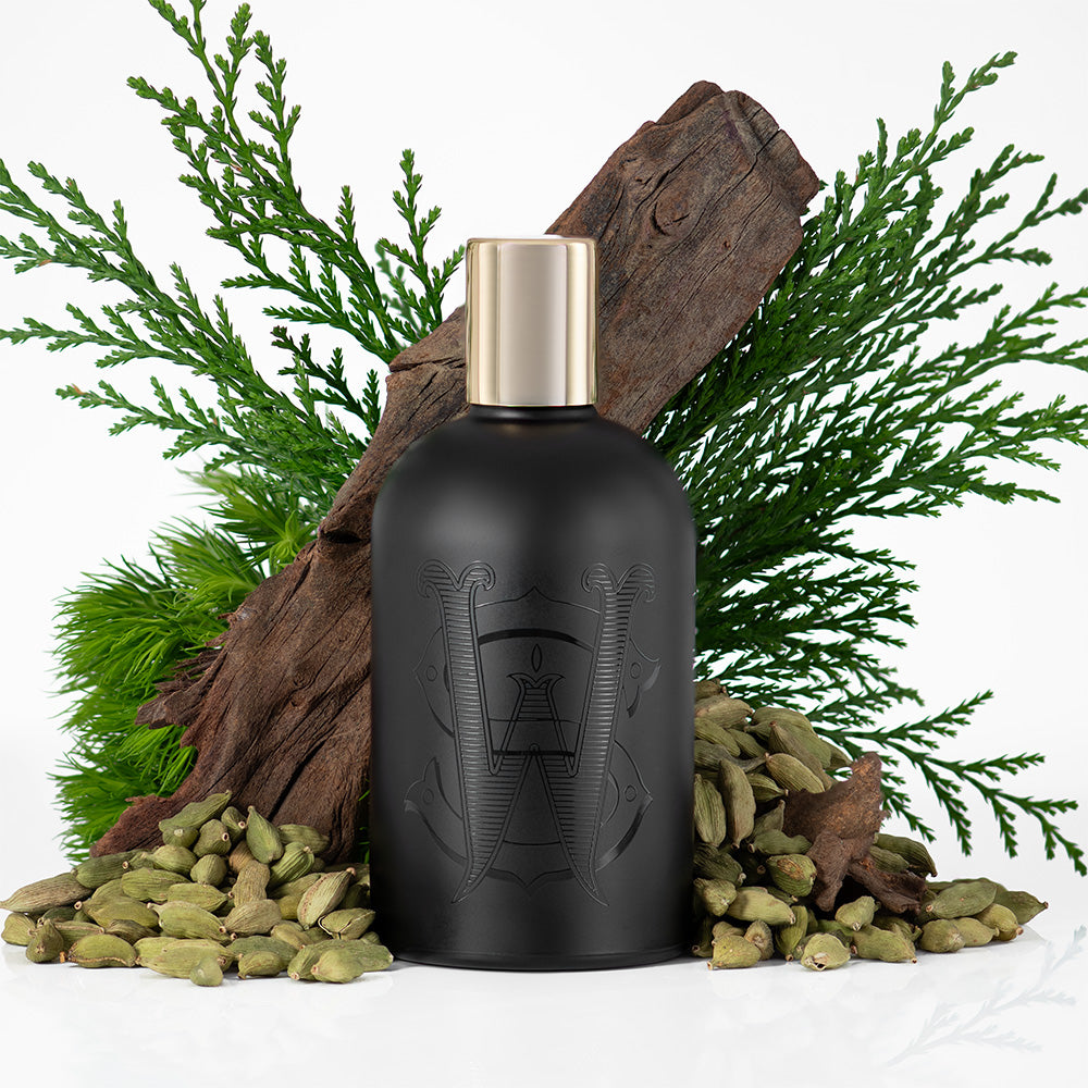 Ocean Drive | Saltworks